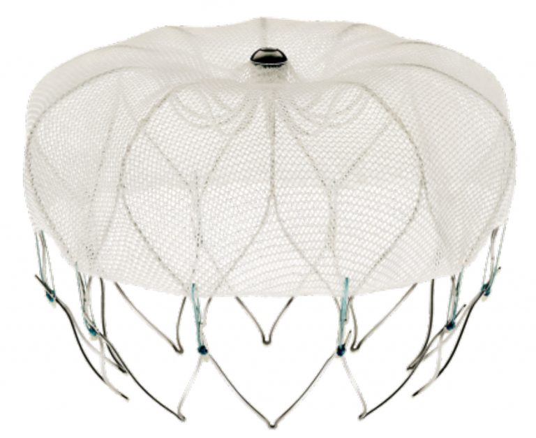 Dr. Kolek and the Watchman Device | Florida Electrophysiology Associates